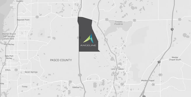 Angeline: A Visionary Community | MetroPlaces